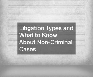 Litigation Types and What to Know About Non-Criminal Cases - Houston ...